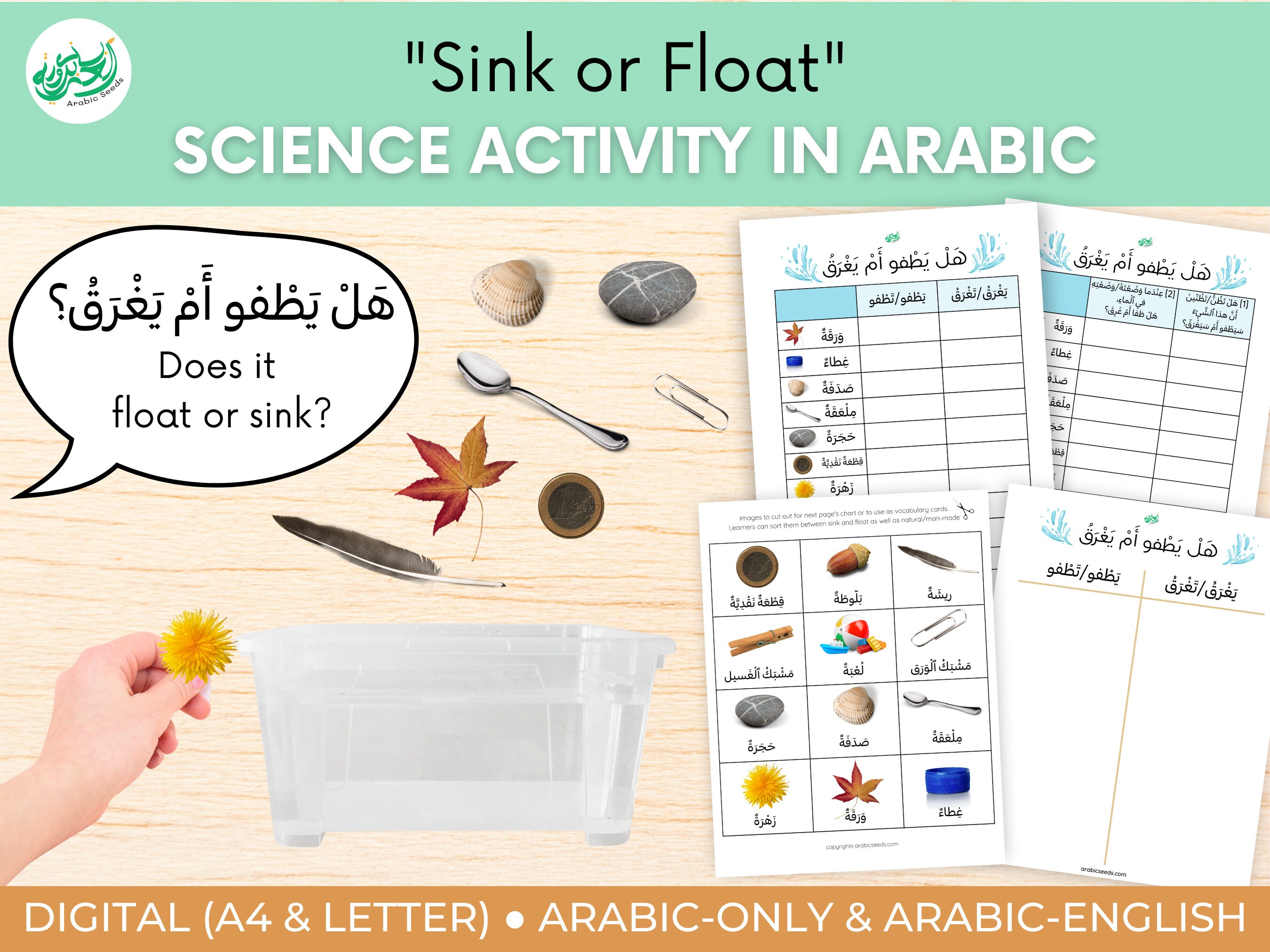 Sink or Float Arabic Printable Science Activity - Arabic Flashcards and ...