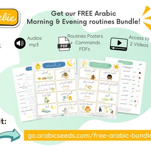 Sink or Float Arabic Printable Science Activity - Arabic Flashcards and ...