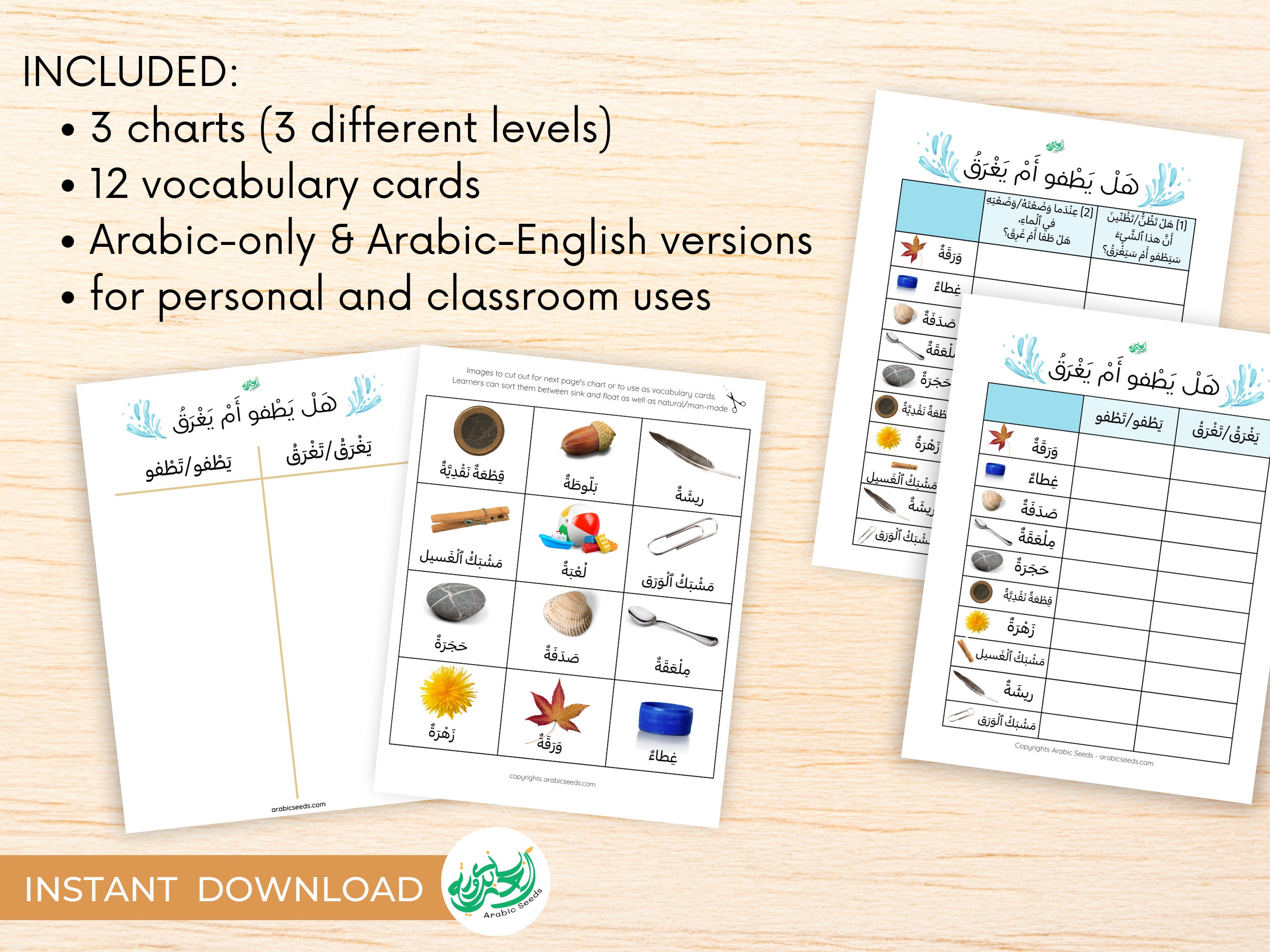 Sink or Float Arabic Printable Science Activity - Arabic Flashcards and ...