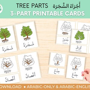 Arabic Tree Parts 3-part Cards - Printable Nomenclature Cards - Arabic ...