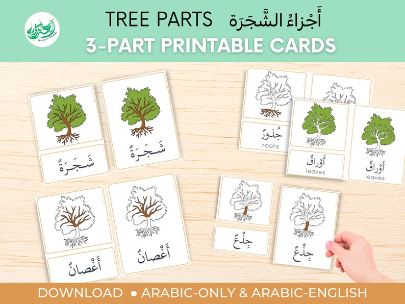 Arabic Tree Parts 3-part Cards - Printable Nomenclature Cards - Arabic ...
