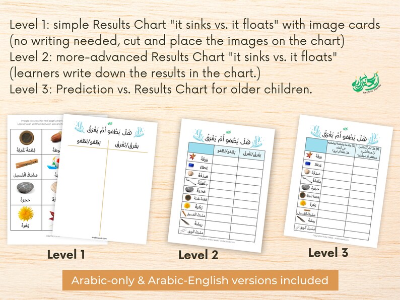 Sink or Float Arabic Printable Science Activity - Arabic Flashcards and ...