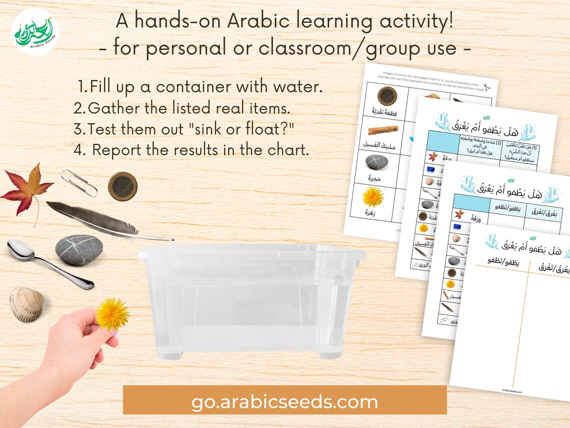 Sink or Float Arabic Printable Science Activity - Arabic Flashcards and ...