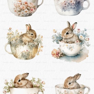 Bunnies in Vintage Cups Watercolor Clipart PNG - Easter Spring ...