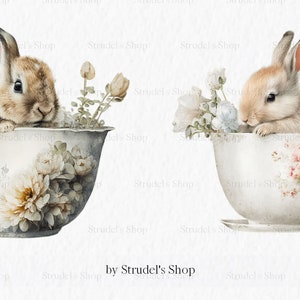 Bunnies in Vintage Cups Watercolor Clipart PNG - Easter Spring ...