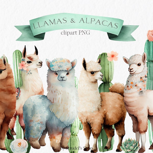Llama Illustration - Etsy