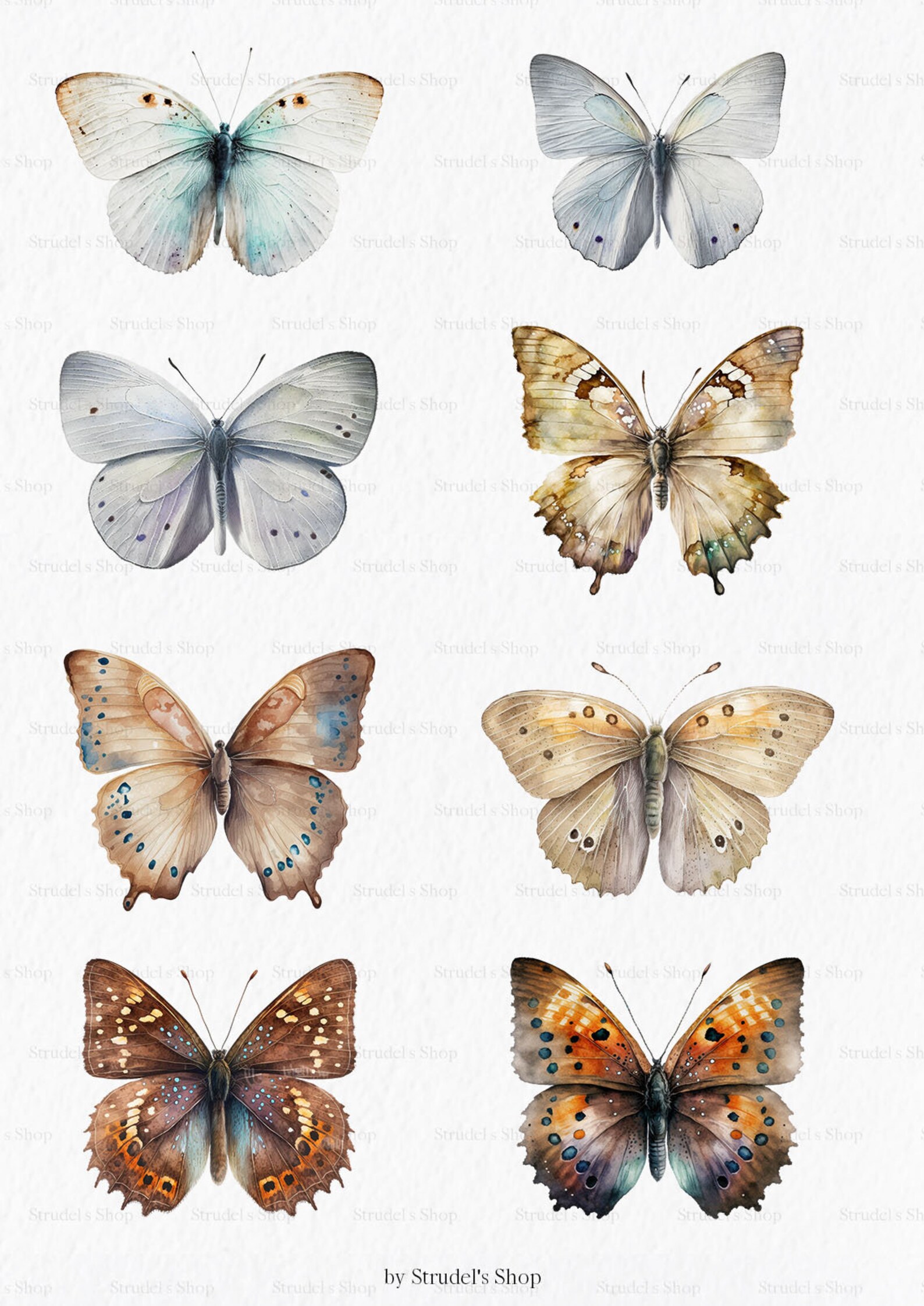 Butterflies Watercolor Clipart PNG Insect Clipart Hand Drawn - Etsy
