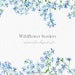 Dusty Blue Flower Seamless Border Watercolor Clipart PNG - Floral ...