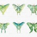 Luna Moth Clipart Boho Butterfly PNG Garden Planner Insect PNG Mystical ...
