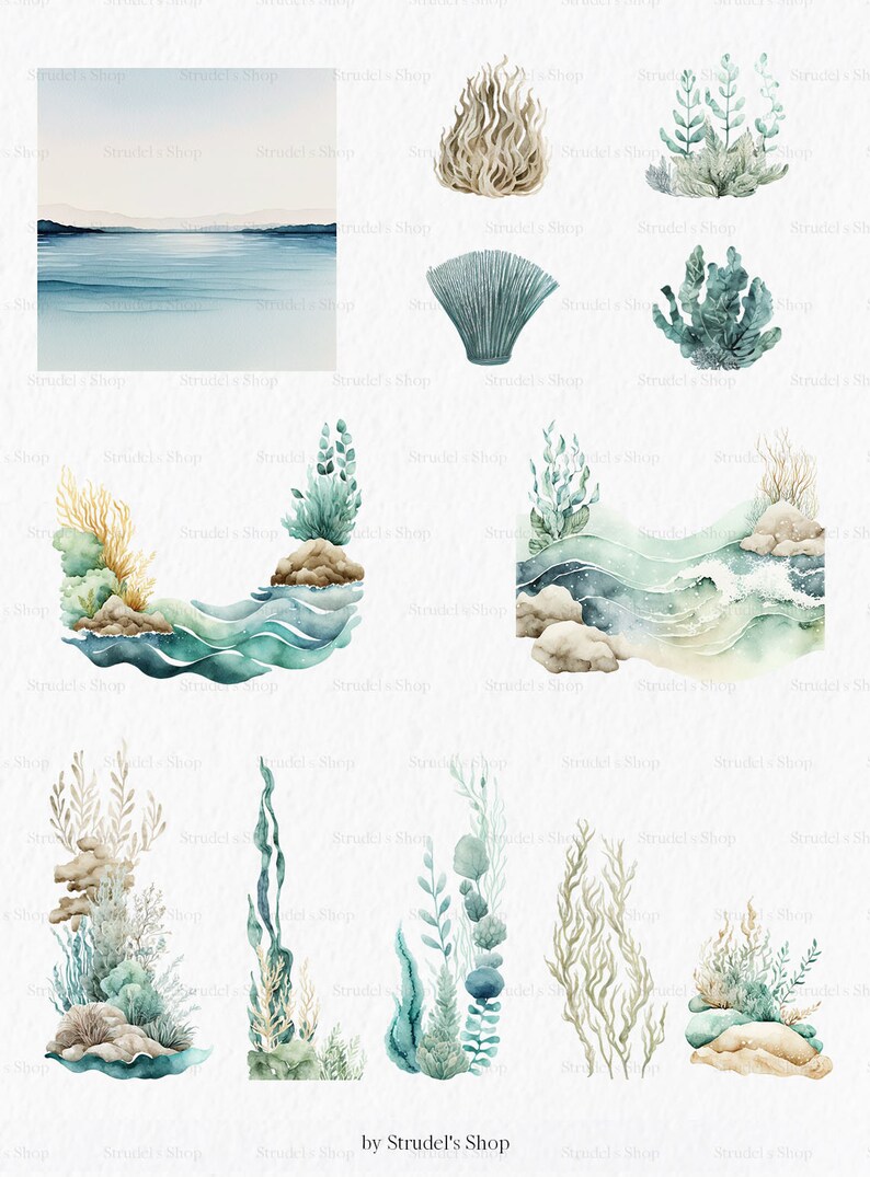 Cute Ocean Watercolor Clipart PNG Fish Ships Algae Killer - Etsy