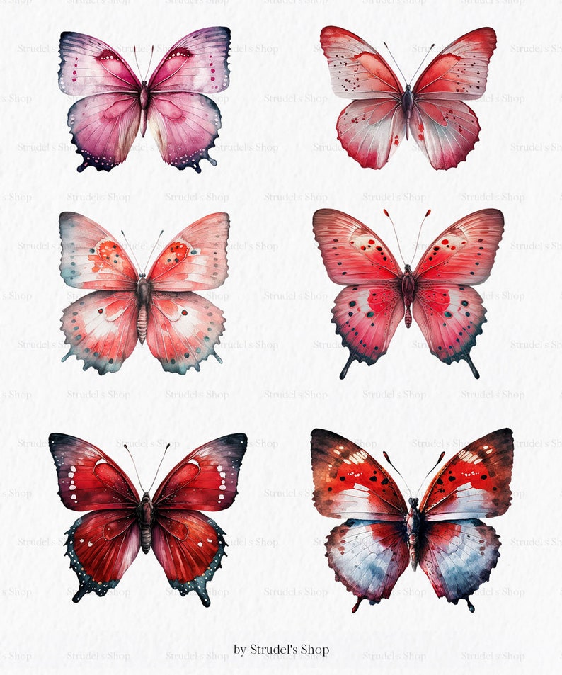 Butterflies Watercolor Clipart PNG Insect Clipart Hand Drawn - Etsy