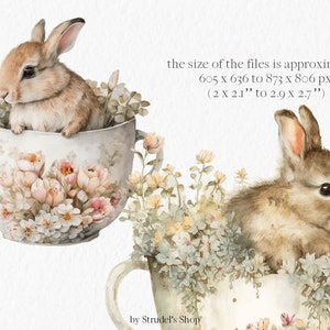Bunnies in Vintage Cups Watercolor Clipart PNG - Easter Spring ...