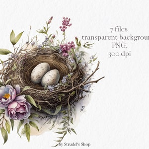 Nests Watercolor Clipart PNG - Easter Spring Birds Eggs Nature #b60 - Etsy