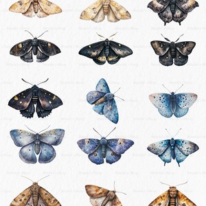 Moths Watercolor Clipart PNG - Insect Clipart Witchcraft Illustration ...