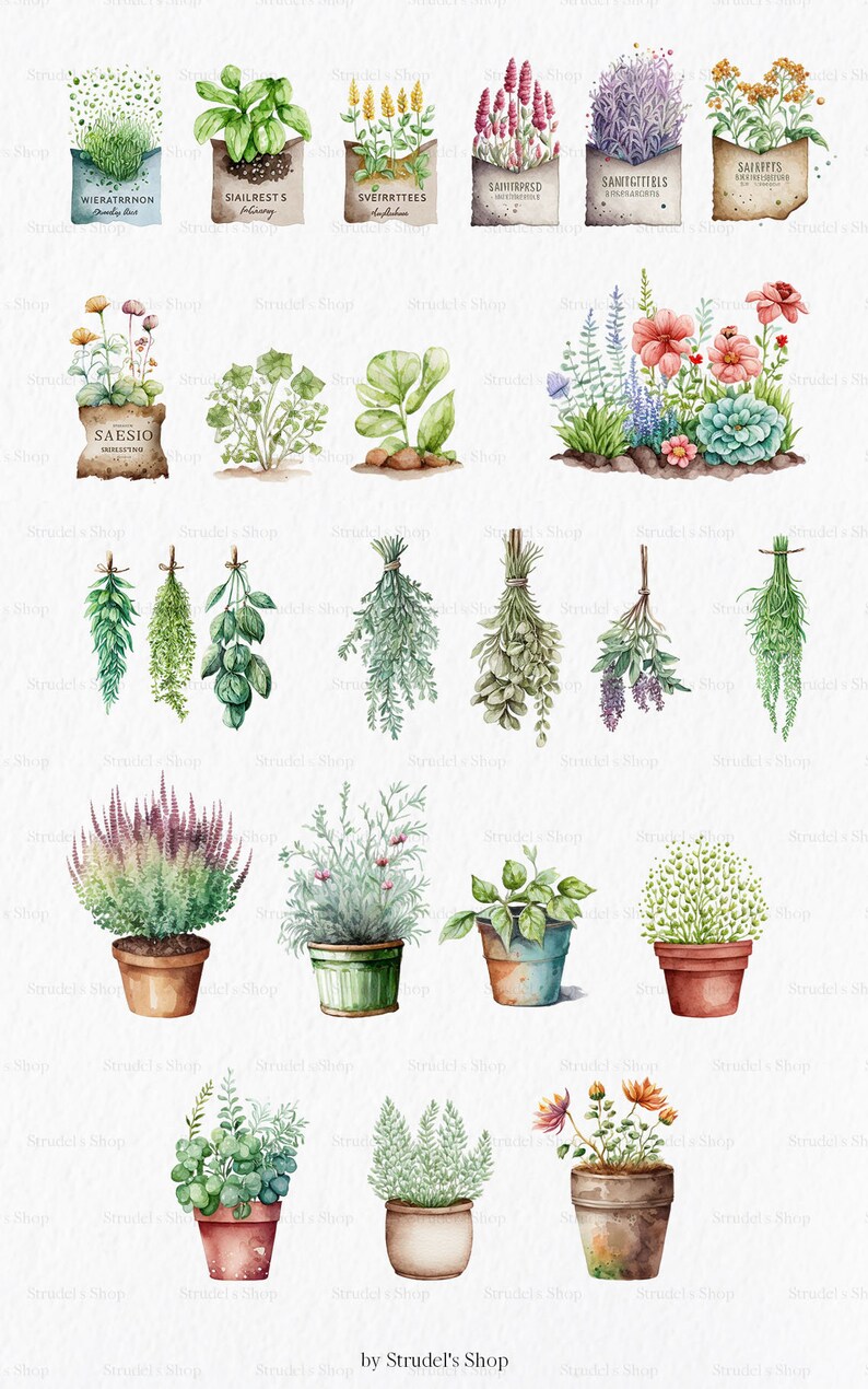 Cute Little Garden Watercolor Clipart PNG Spring Summer - Etsy