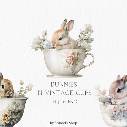 Bunnies in Vintage Cups Watercolor Clipart PNG Easter Spring - Etsy