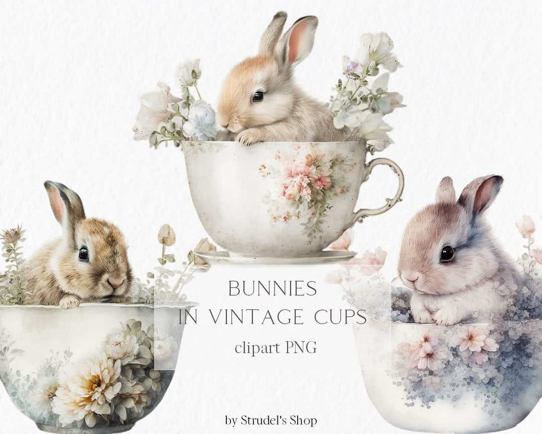 Bunnies in Vintage Cups Watercolor Clipart PNG - Easter Spring ...