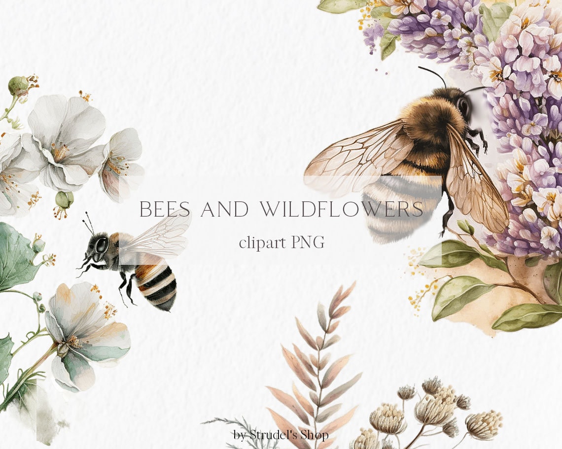 Bees and Wildflowers Watercolor Clipart PNG Honeybee - Etsy