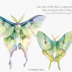 Luna Moth Clipart - Boho Butterfly PNG Garden Planner Insect PNG ...