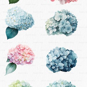 Pink & Blue Hydrangea Flower Watercolor Clipart PNG - Floral Wedding ...