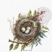 Nests Watercolor Clipart PNG - Easter Spring Birds Eggs Nature #b60 - Etsy