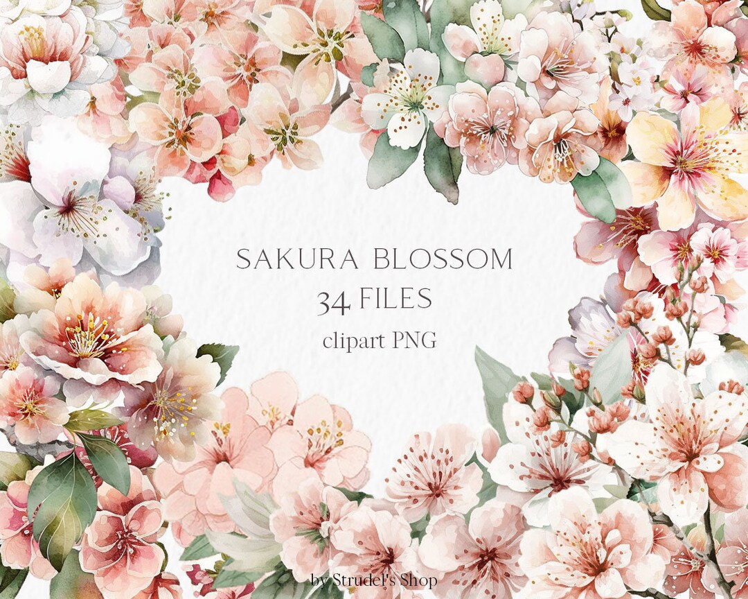 Sakura Blossom Watercolor Clipart PNG - Flower Spring Wedding Cherry ...