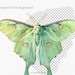 Luna Moth Clipart - Boho Butterfly PNG Garden Planner Insect PNG ...