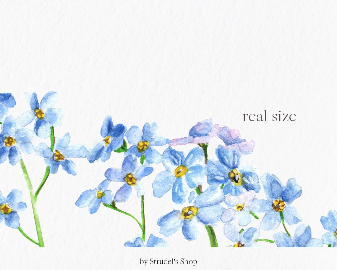 Wildflower Border Set Blue Flower Frame Png Forget Me Not Invitation ...