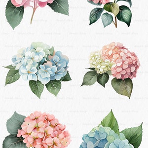 Pink & Blue Hydrangea Flower Watercolor Clipart PNG - Floral Wedding ...
