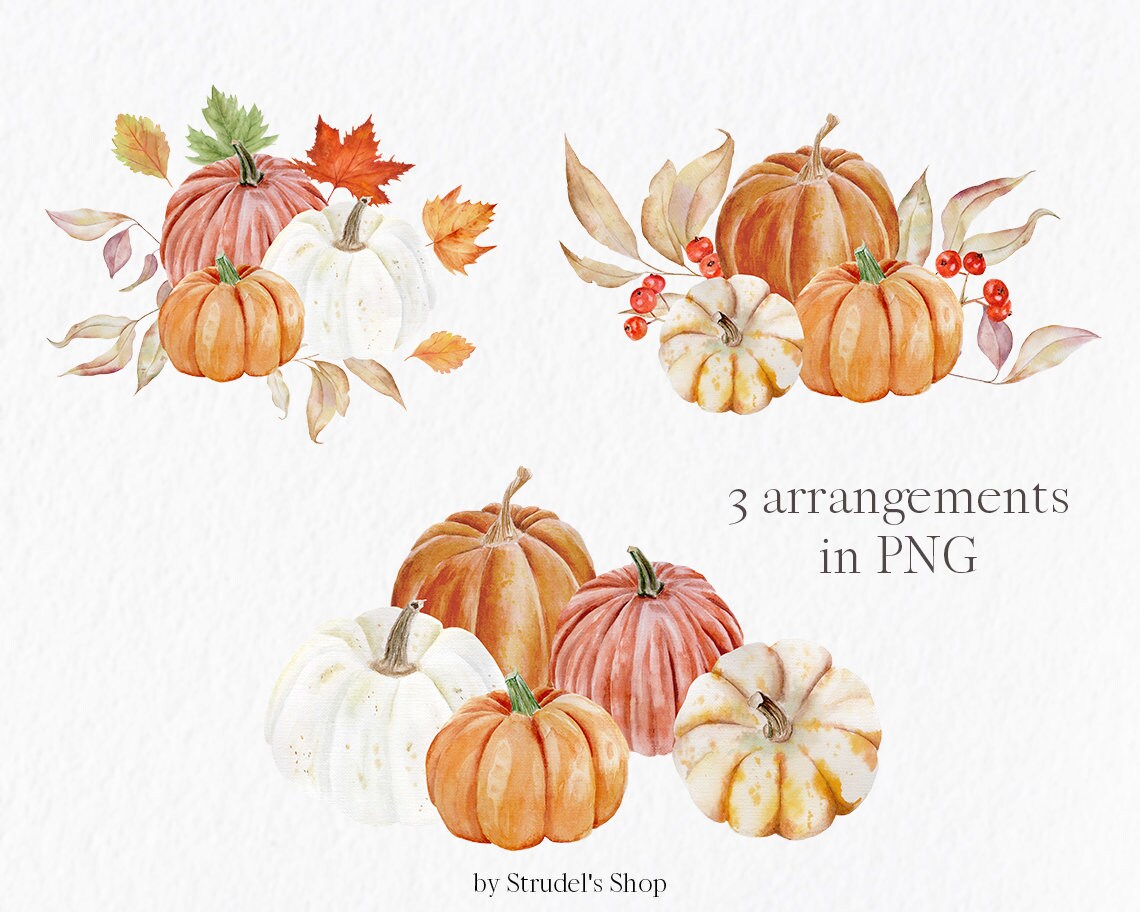 Watercolor Fall Clipart Autumn Clip Art White Orange Pumpkins - Etsy