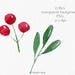 Christmas Floral Watercolor Clip Art PNG SVG #c17 - Etsy