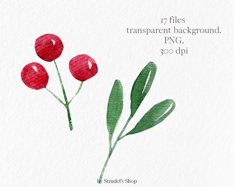 Christmas Floral Watercolor Clip Art PNG SVG #c17 - Etsy