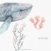 Whales Watercolor Clipart PNG - Under the Sea Nautical Underwater Ocean ...