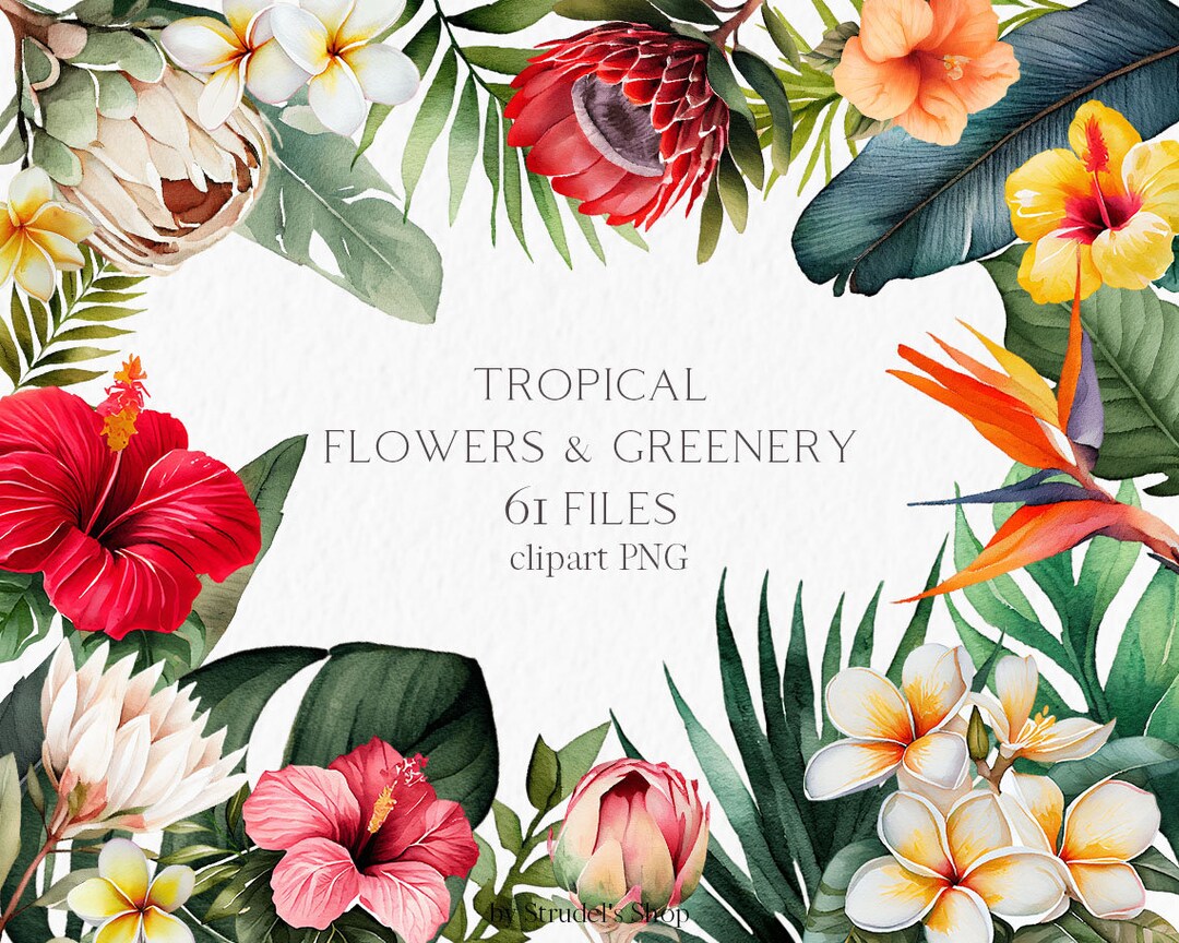 Tropical Flowers Greenery Watercolor Clipart PNG - Summer Leaves ...