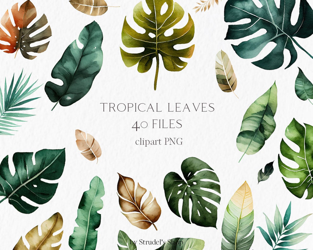 Tropical Leaves Watercolor Clipart PNG Summer Greenery Monstera Jungle ...