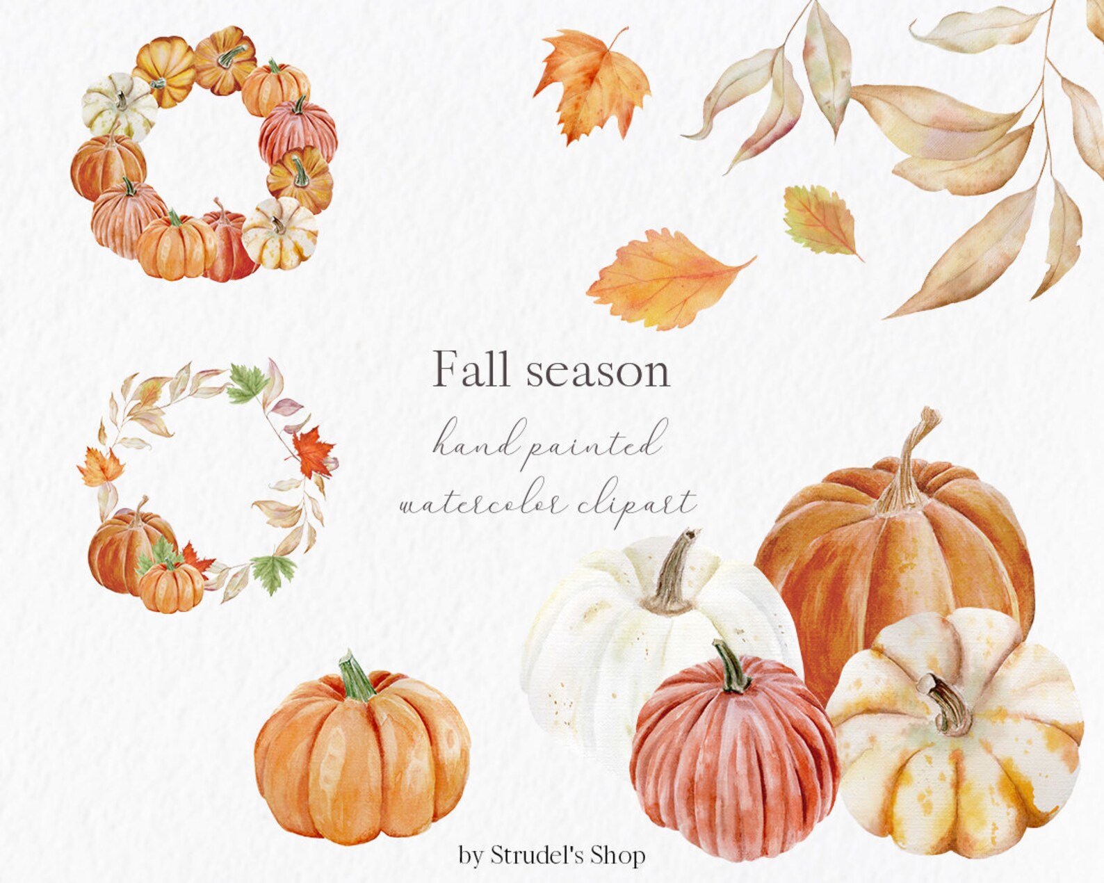 Watercolor Fall Clipart Autumn Clip Art White Orange Pumpkins - Etsy