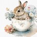 Bunnies in Vintage Cups Watercolor Clipart PNG - Easter Spring ...