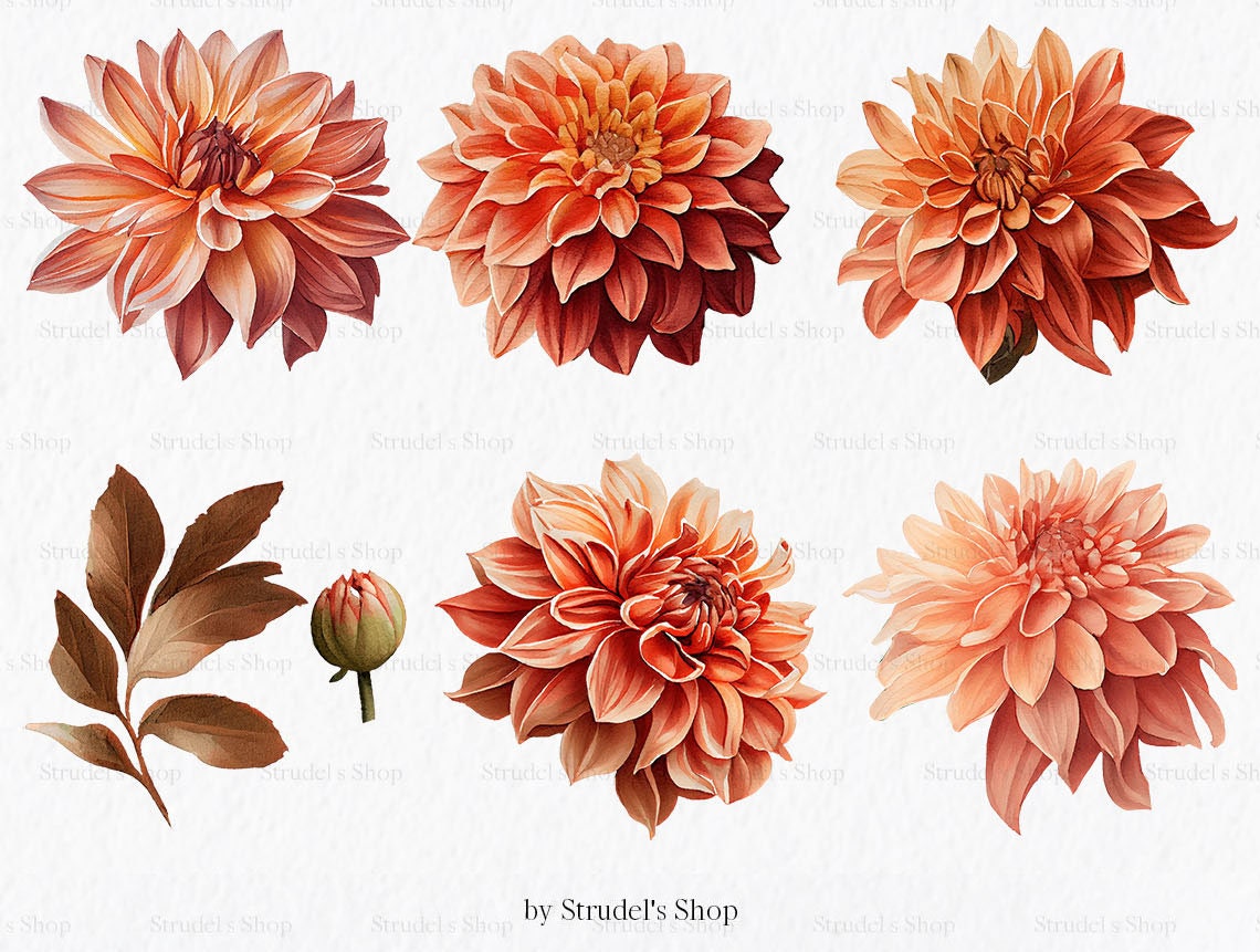 Terracotta Flowers Watercolor Clipart PNG Boho Wedding - Etsy