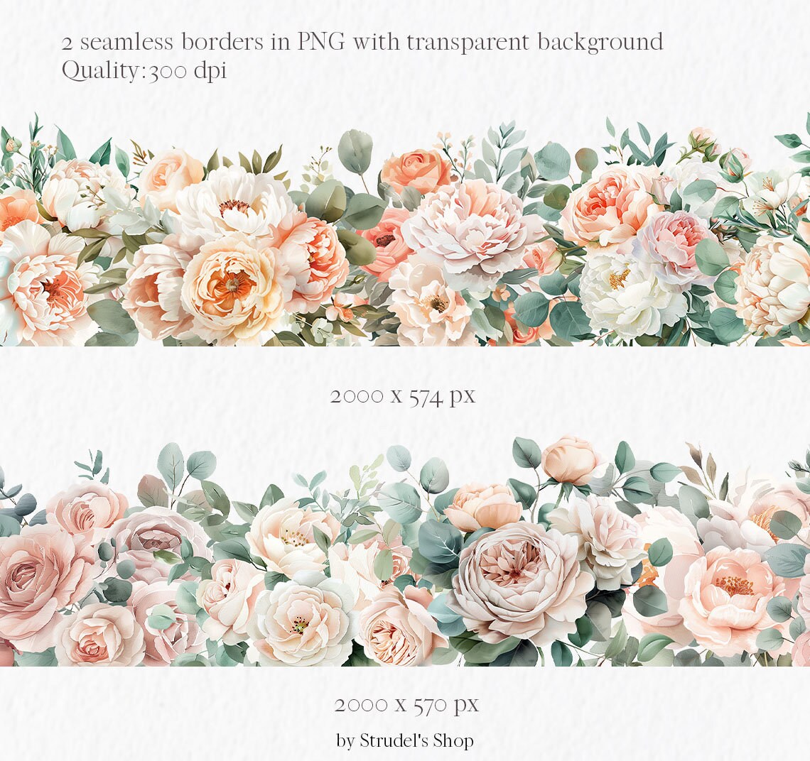Rose Peony Seamless Border Watercolor Clipart PNG #c105 - Etsy