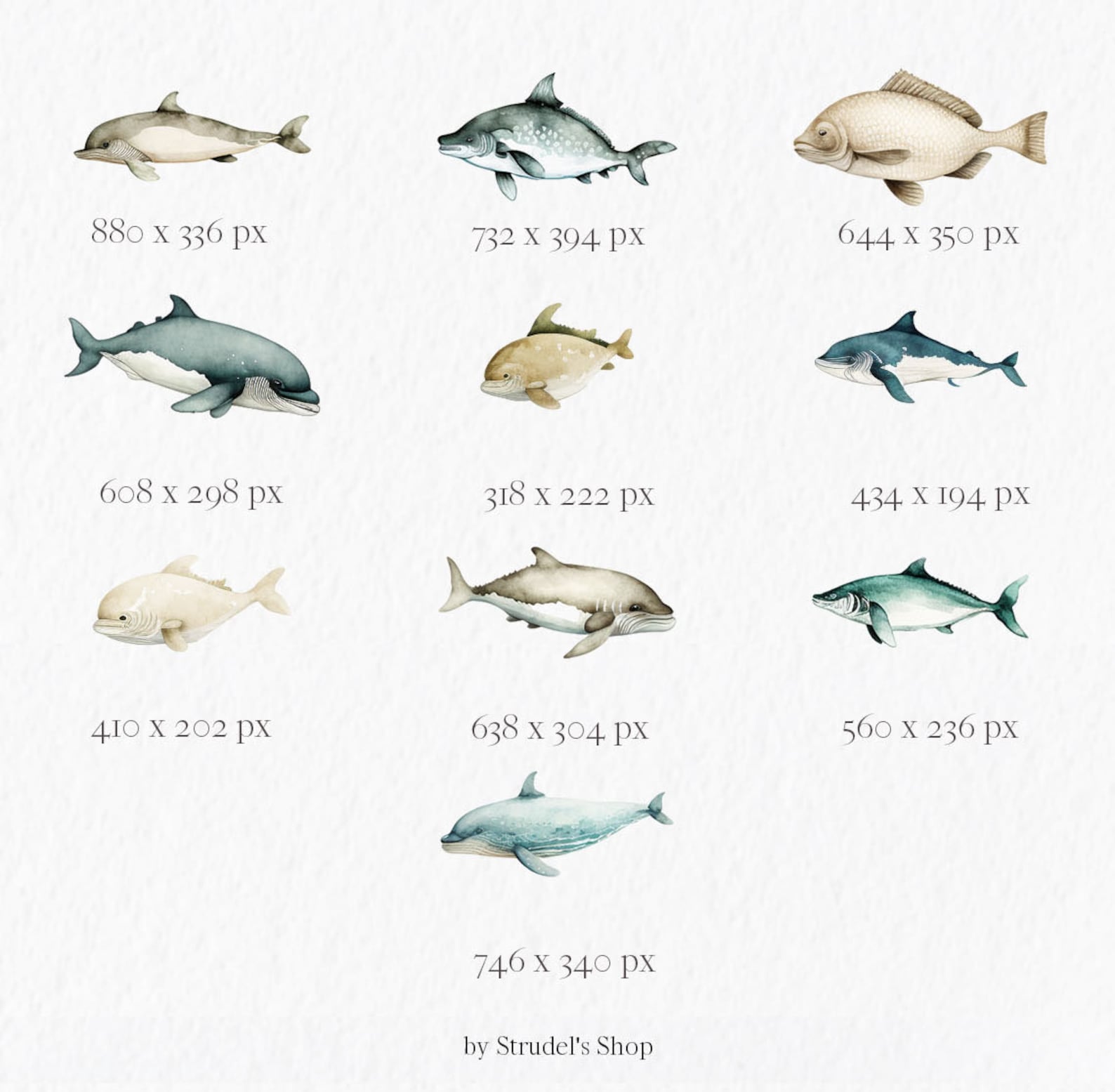 Cute Ocean Watercolor Clipart PNG - Fish Ships Algae Killer Whale Orca ...