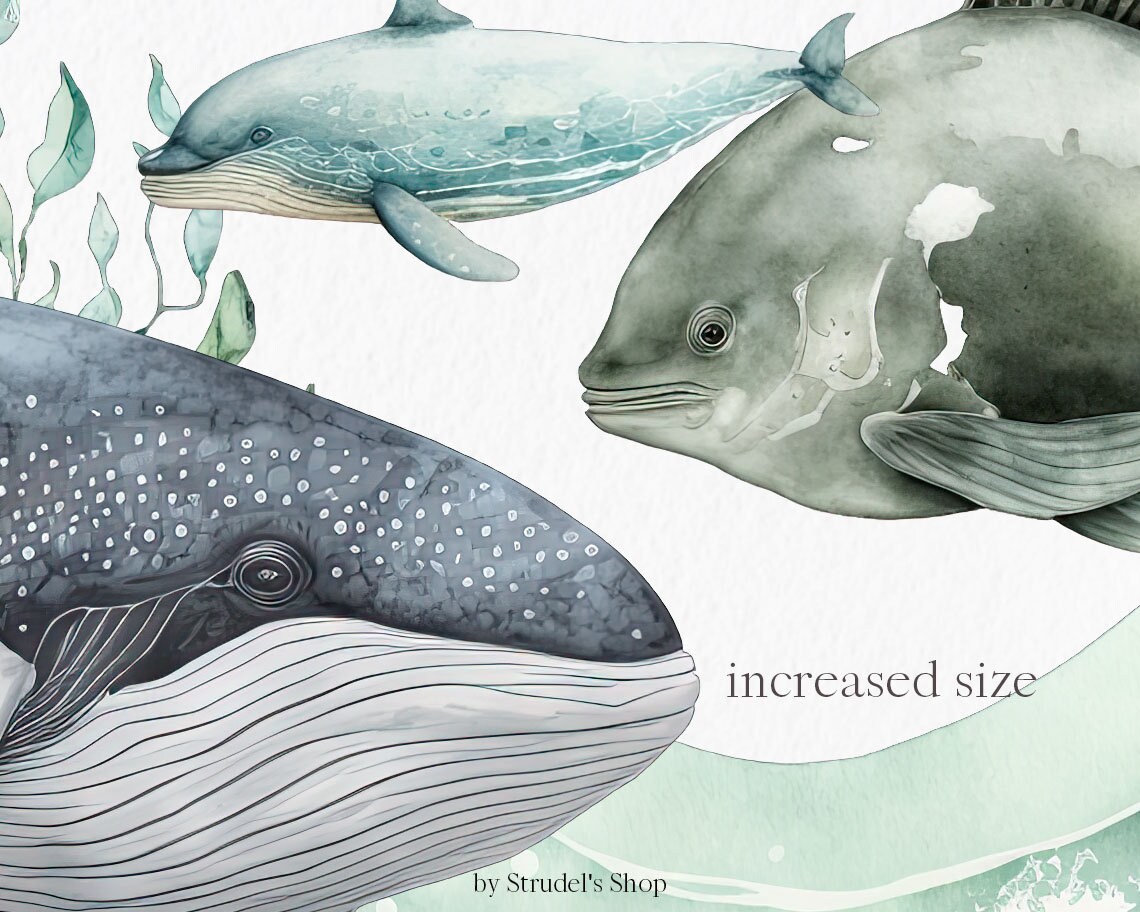 Cute Ocean Watercolor Clipart PNG - Fish Ships Algae Killer Whale Orca ...