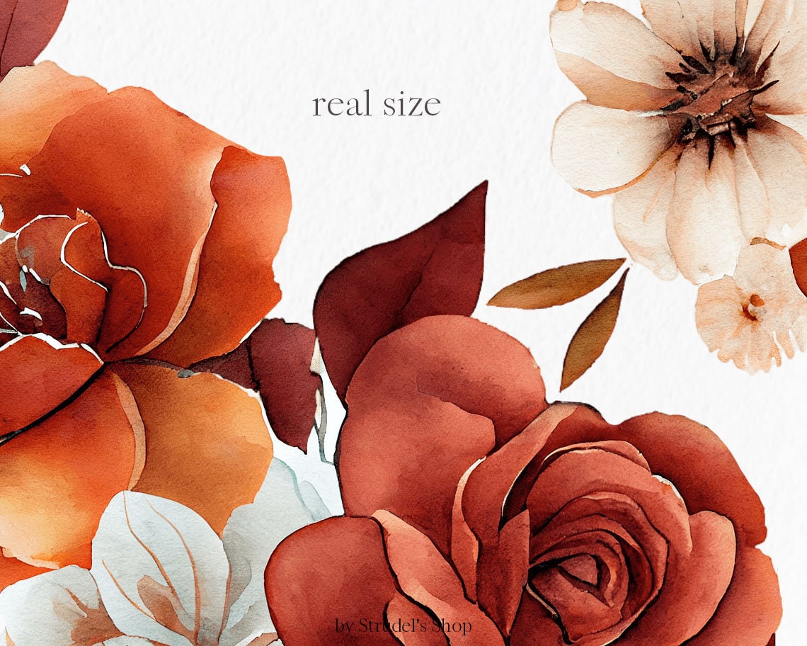 Terracotta Flowers Watercolor Clipart PNG Autumn Terracotta - Etsy