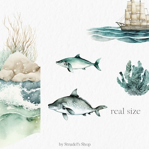 Cute Ocean Watercolor Clipart PNG - Fish Ships Algae Killer Whale Orca ...