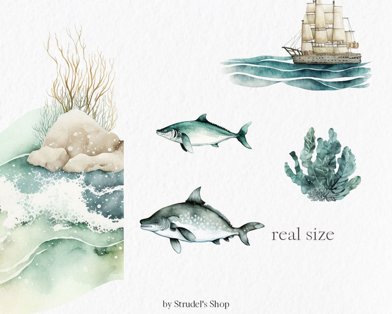 Cute Ocean Watercolor Clipart PNG Fish Ships Algae Killer - Etsy
