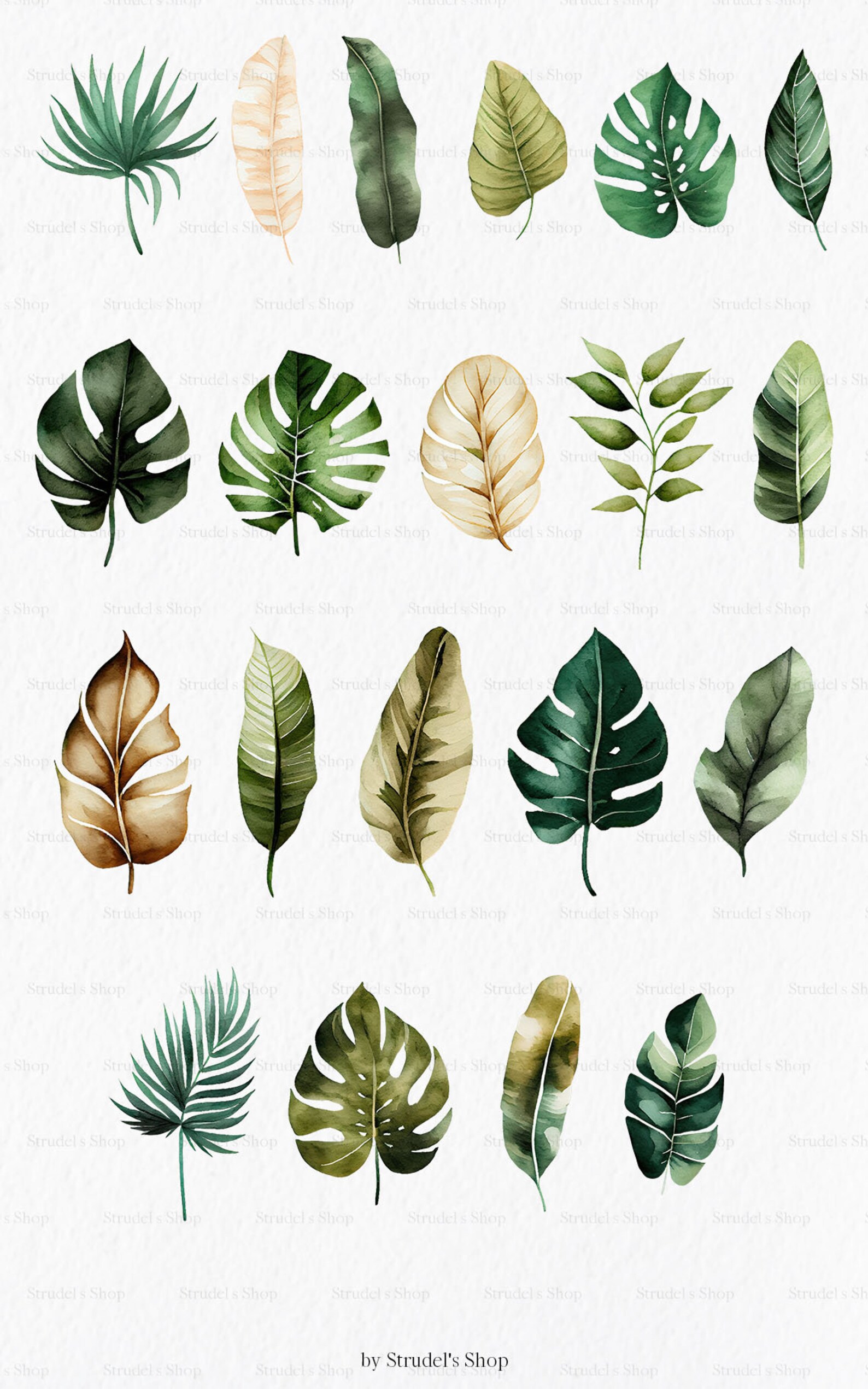 Tropical Leaves Watercolor Clipart PNG Summer Greenery - Etsy