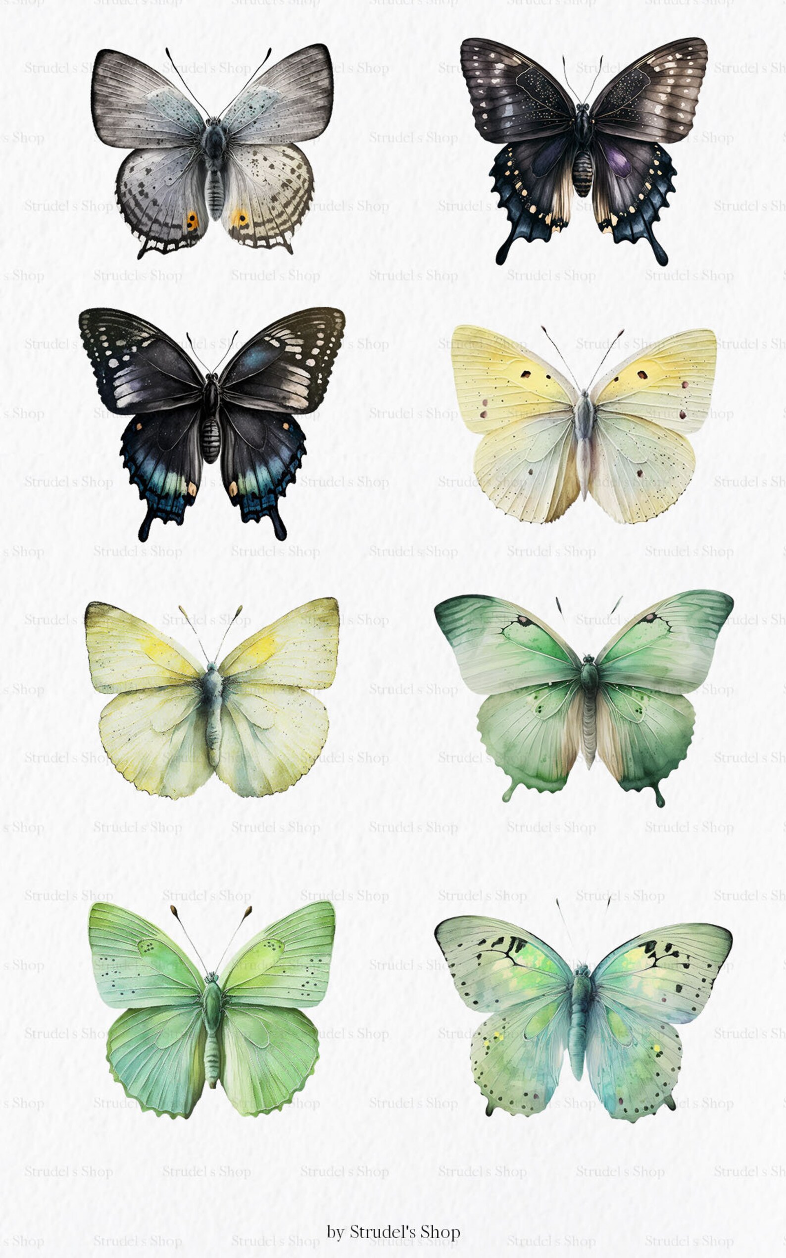 Butterflies Watercolor Clipart PNG Insect Clipart Hand Drawn - Etsy