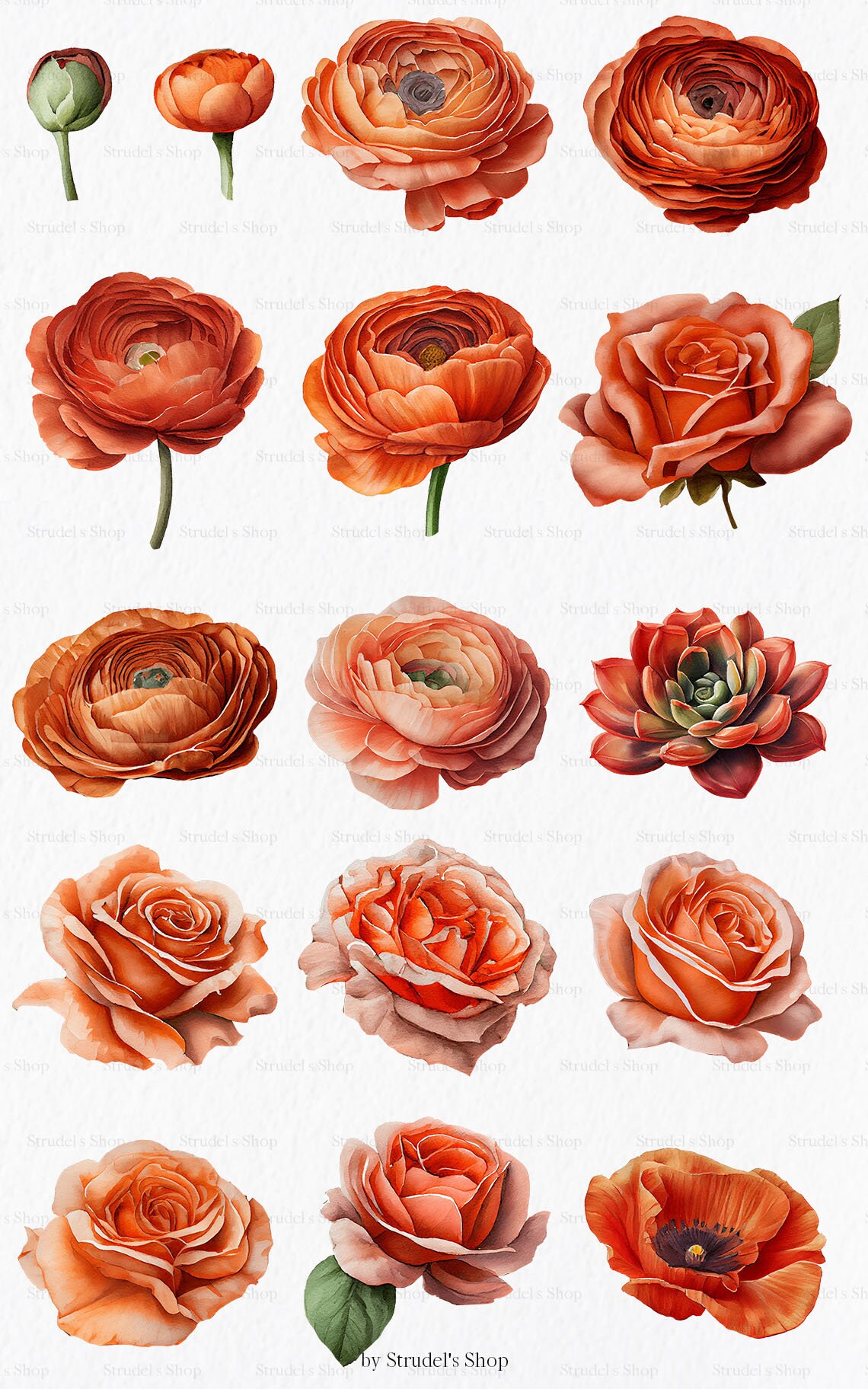 Terracotta Flowers Watercolor Clipart PNG Boho Wedding - Etsy