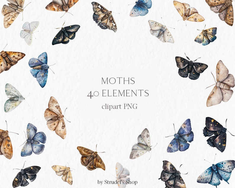 Moths Watercolor Clipart PNG Insect Clipart Witchcraft - Etsy