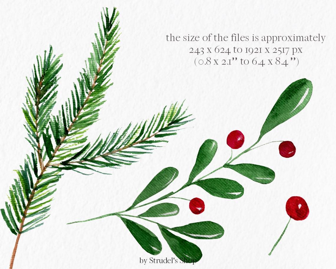 Christmas Floral Watercolor Clip Art PNG SVG #c17 - Etsy
