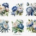 White Blue Peonies Bouquet, Seamless Border Watercolor Clipart PNG # ...
